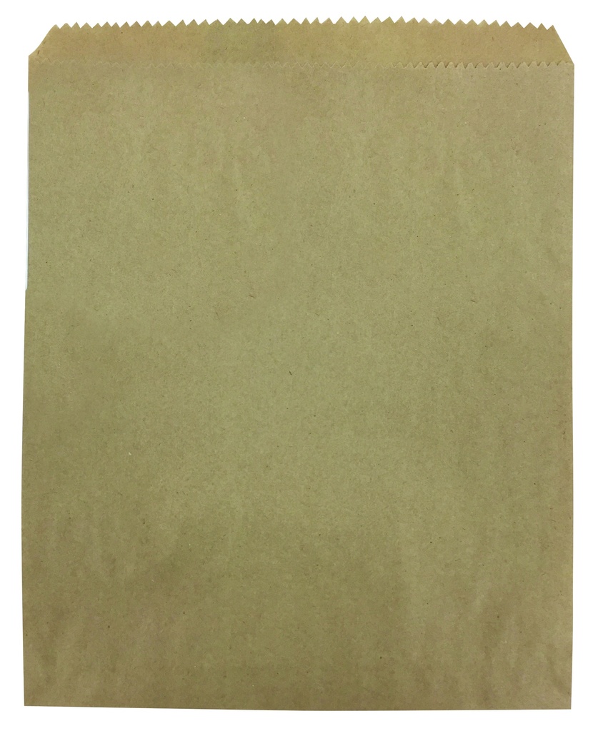 No. 3 Brown Flat Paper Bag | Astra Supply